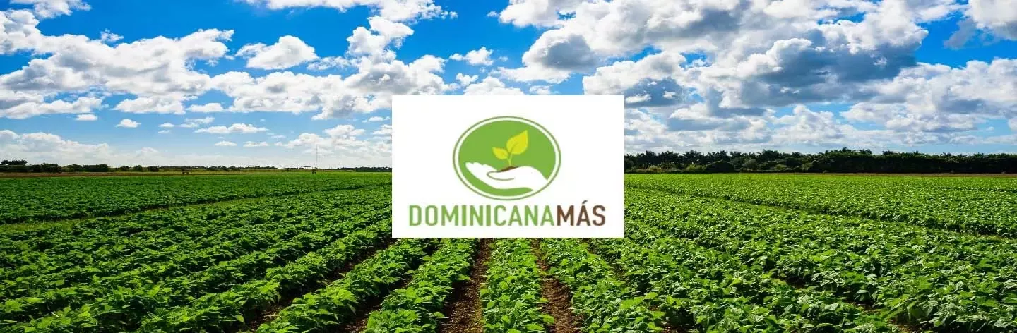 Conoce nuestros proyecto de valor compartido: Dominicana Mas | Nestlé ...